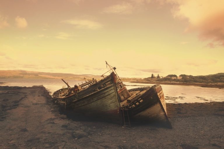 Making those tough survival choices - Tadhg O'Flaherty